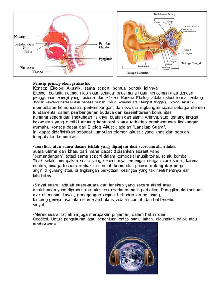 Prinsip-Prinsip Ekologi Akustik | PDF