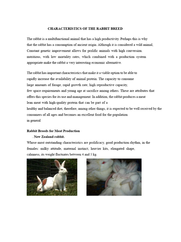 Rabbit Breeds: Characteristics & Benefits | PDF | Fur | Rabbit