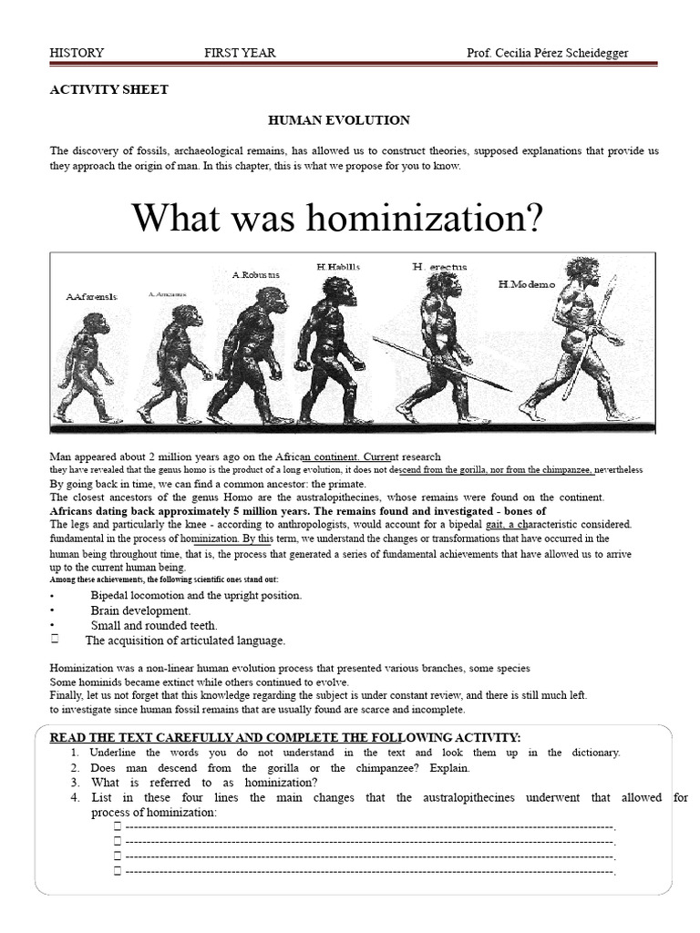ACTIVITY SHEET No. 4 The Evolution of Humans | PDF | Homo | Human Evolution