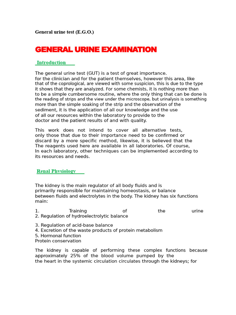 General Urine Examination | PDF | Kidney | Urine