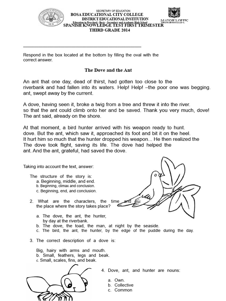 Spanish Knowledge Test for 3rd Grade | PDF