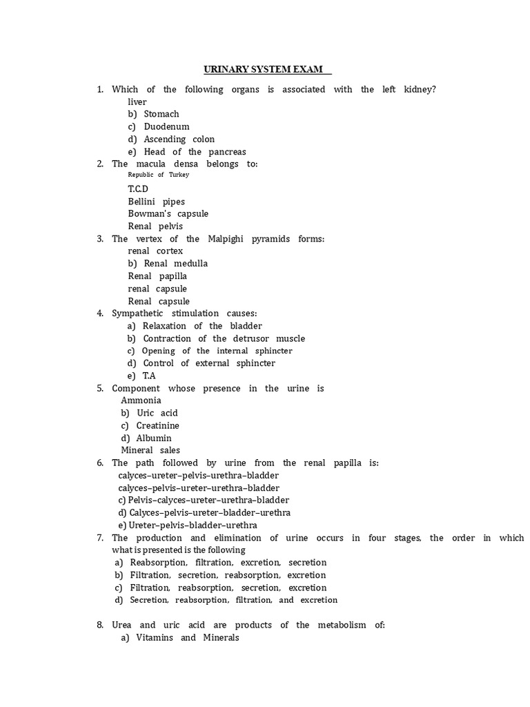 Urinary System Exam | PDF | Kidney | Genitourinary System