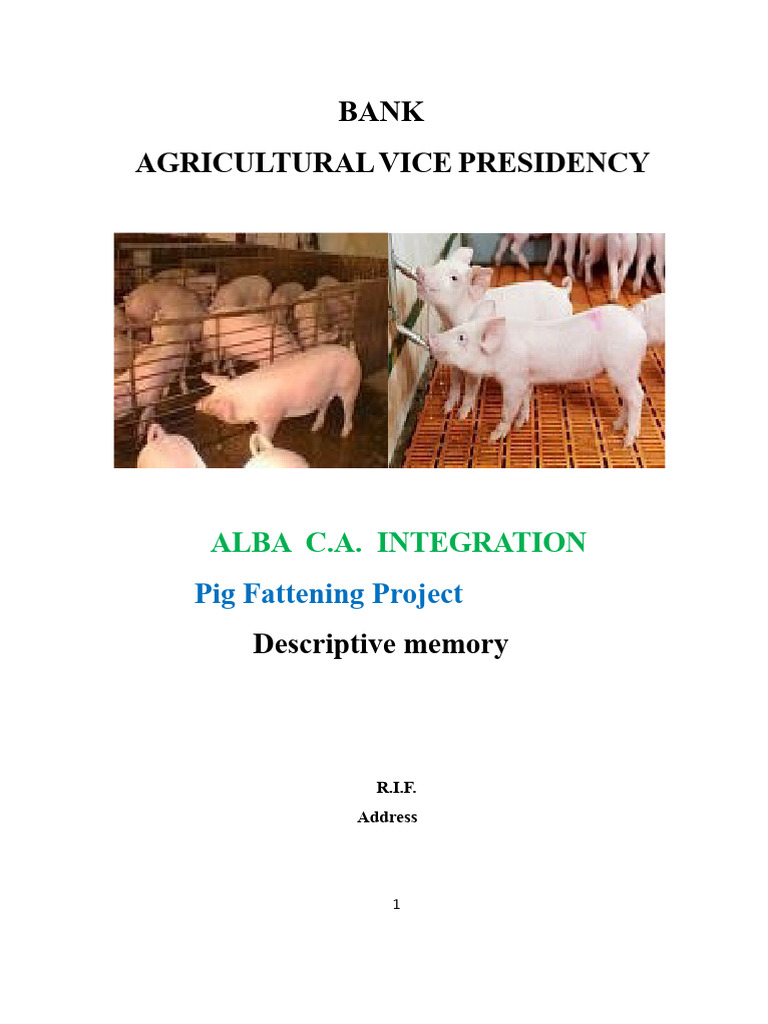 Descriptive Memory | PDF | Pig | Pregnancy