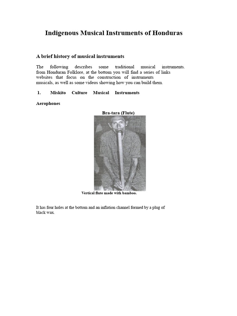 Traditional Instruments of Honduras | PDF | String Instruments ...