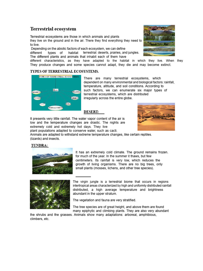 Terrestrial and Aquatic Ecosystem | PDF | Sea | Plankton