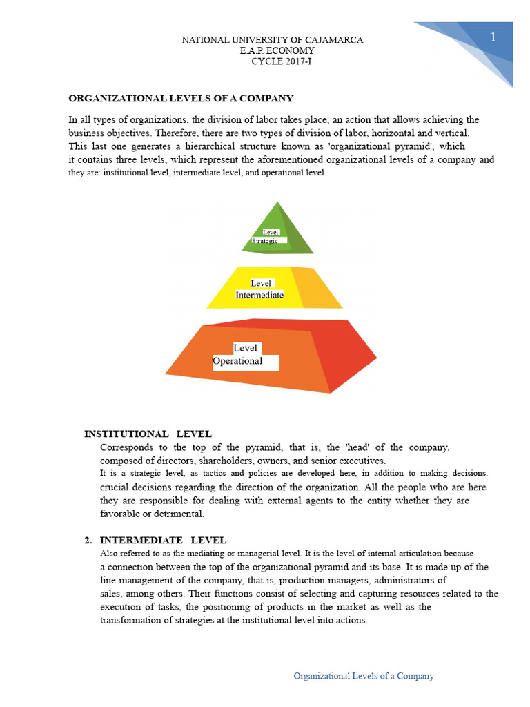 Organizational Levels in Companies | PDF | Business Economics | Business