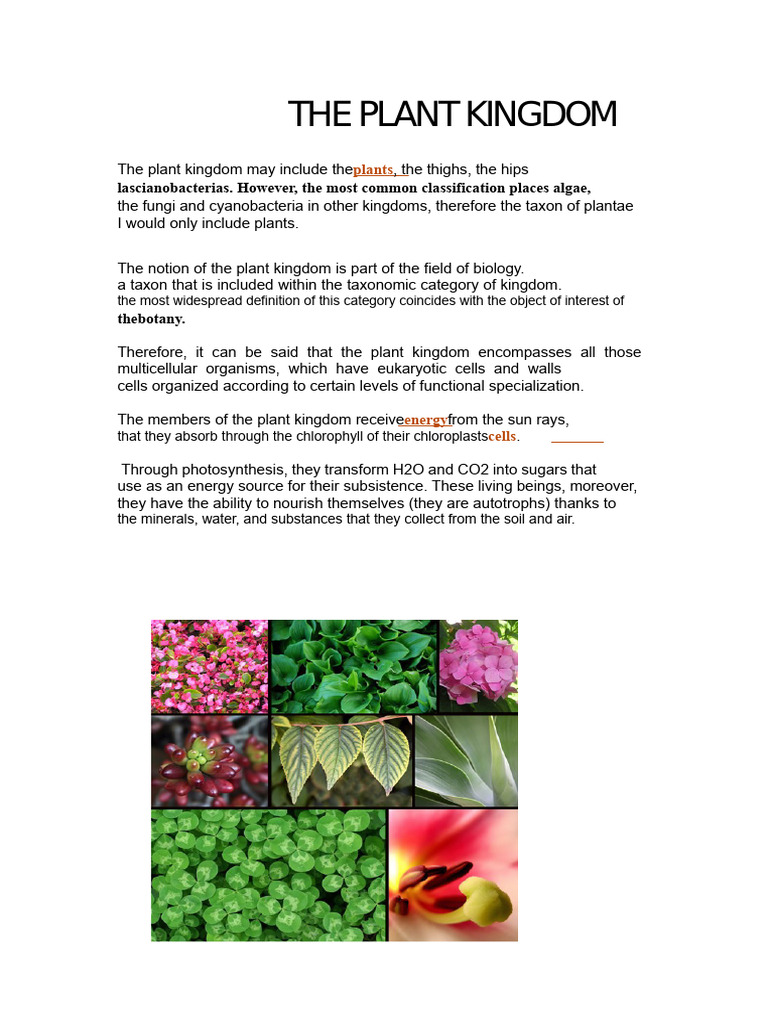 The Plant Kingdom | PDF | Plants | Nature