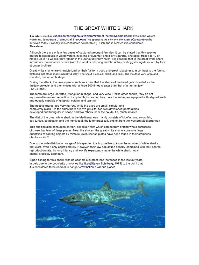 Great White Shark: Facts and Threats | PDF | Sharks | Great White Shark