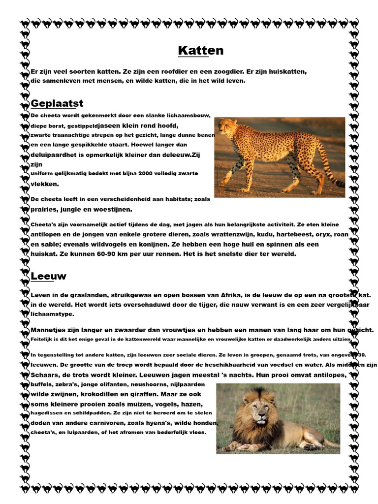 Wilde Katten | PDF