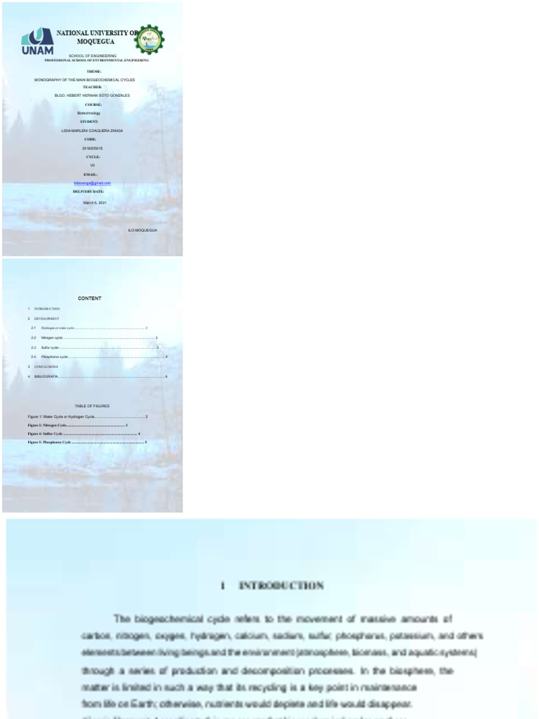 Monograph On Biogeochemical Cycles | PDF | Water | Water Cycle