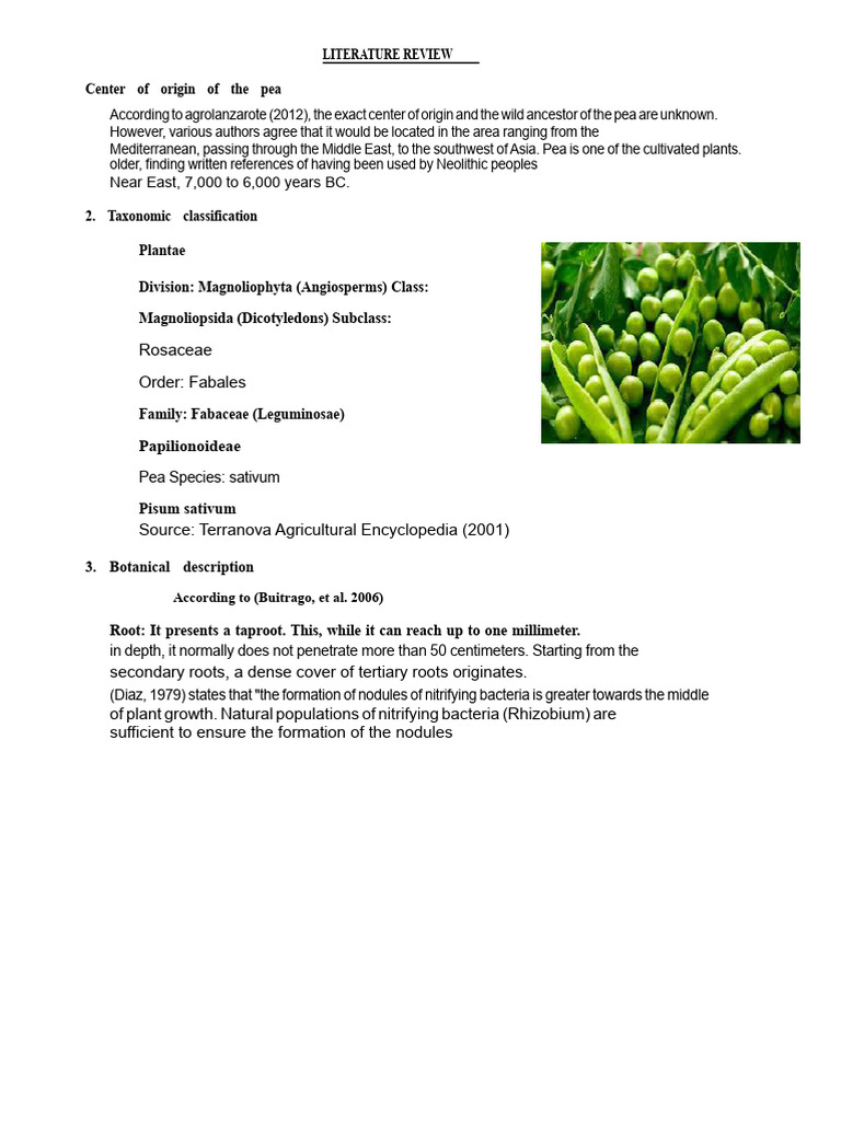 Literature Review of Pea Cultivation | PDF | Pea | Sowing