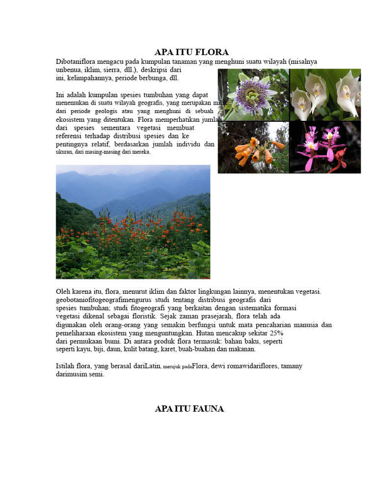 Apa Itu Flora | PDF
