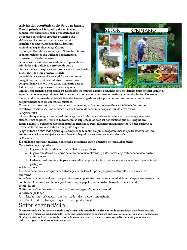 Atividades Econômicas Do Setor Primário, Secundário e Terciário | PDF ...