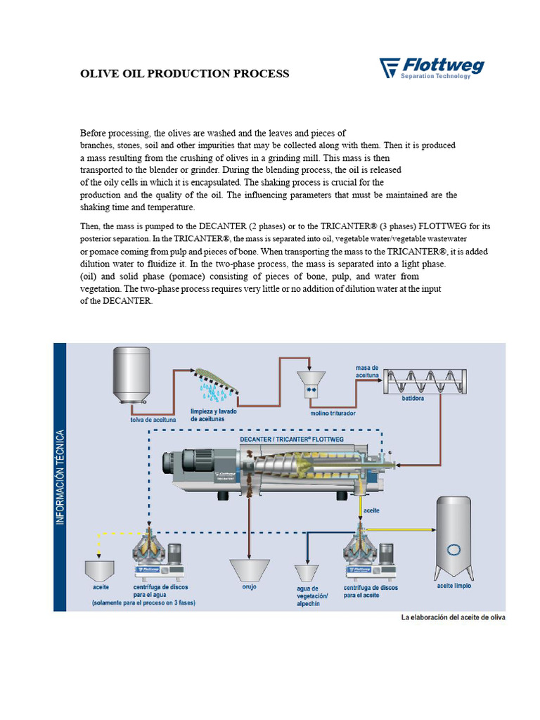 Olive Oil Production Process | PDF | Secondary Sector Of The Economy ...