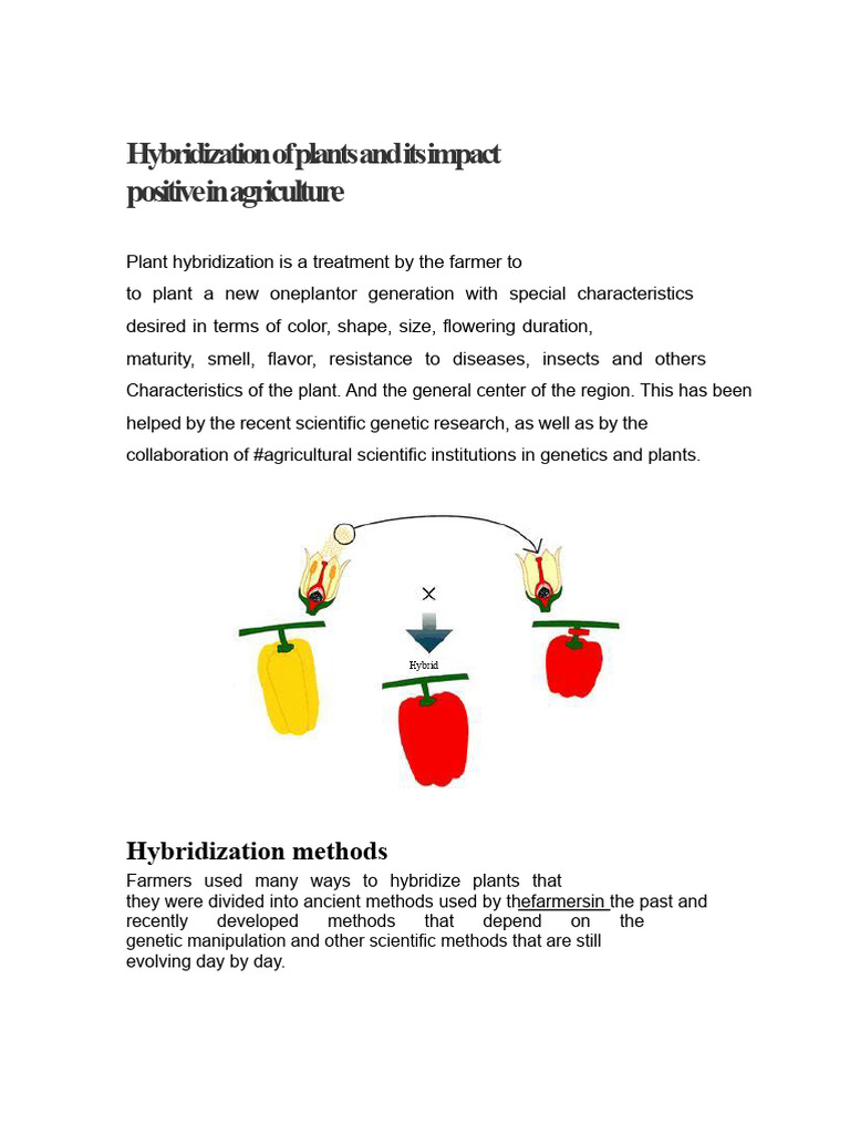 Hybridization of Plants and Its Positive Impact On Agriculture | PDF ...