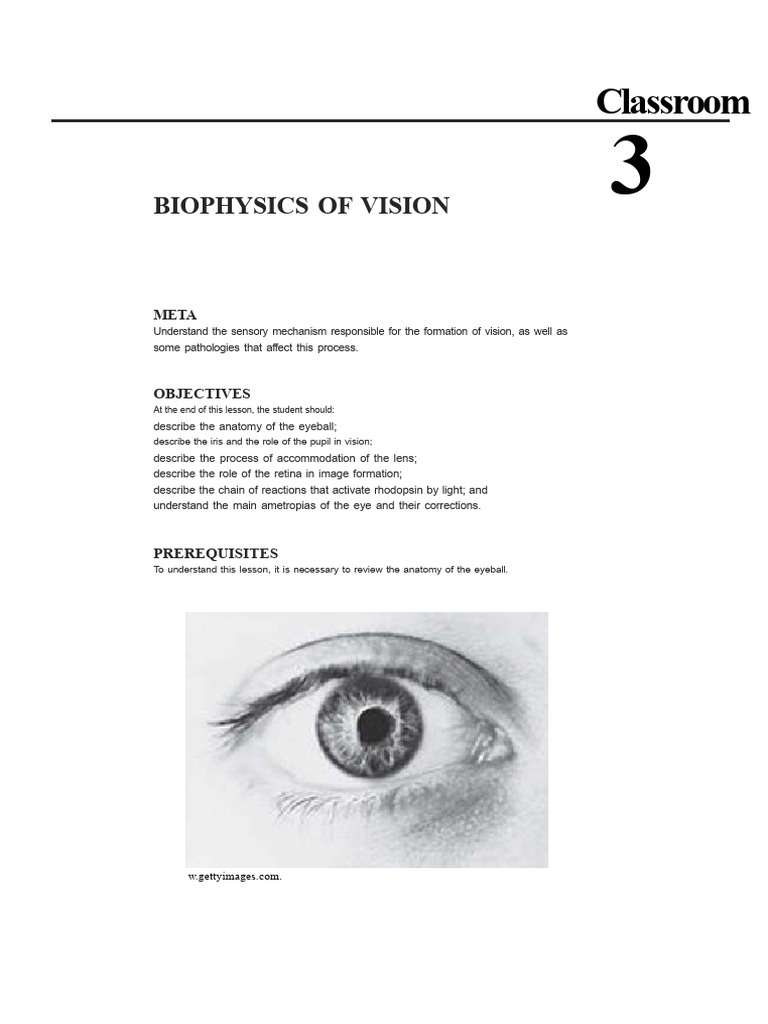 Class 3 - Biophysics of Vision | PDF | Human Eye | Retina