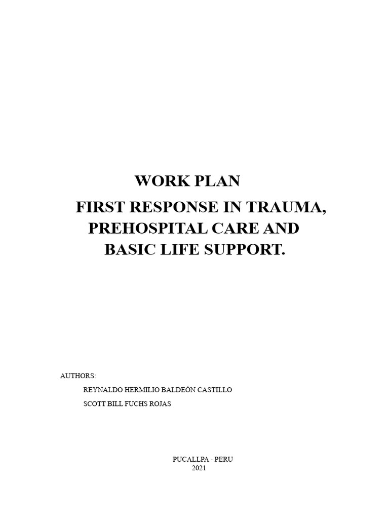 Work Plan PRT Xii Cdu | PDF | Emergency Medical Services ...