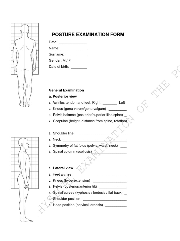 Posture Assesment Form | PDF | Pelvis | Vertebral Column