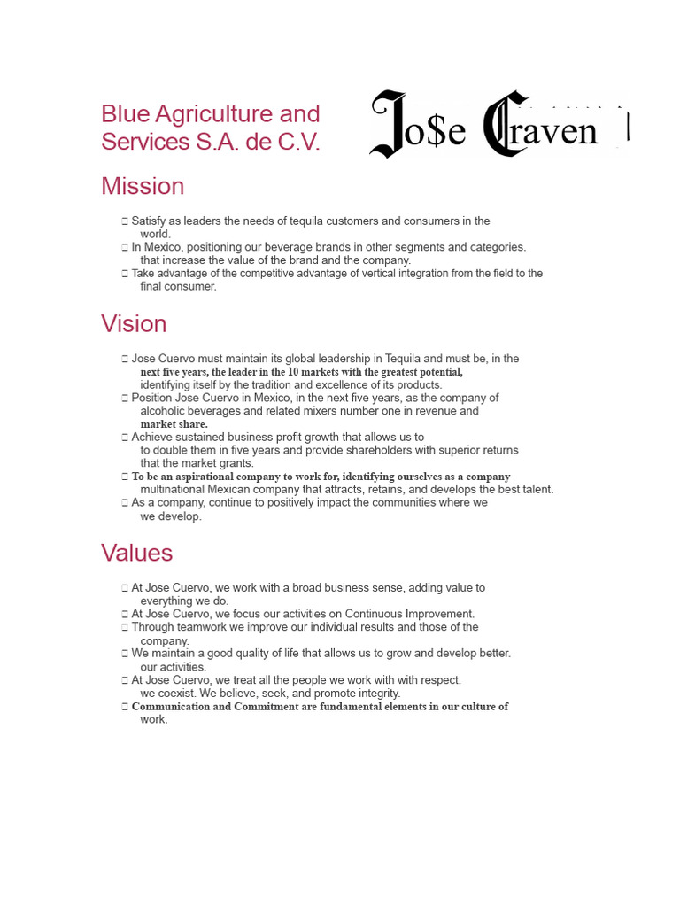 Mission Vision Values Original | PDF