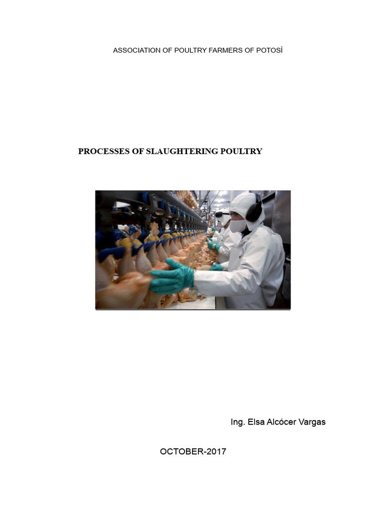 Poultry Slaughtering Process Guide | PDF | Poultry Farming | Poultry