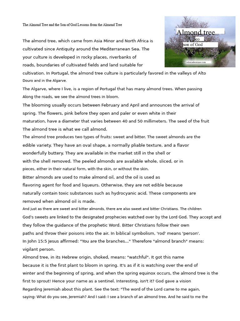 The Almond Tree and The Son of God Lessons From The Almond Tree | PDF ...
