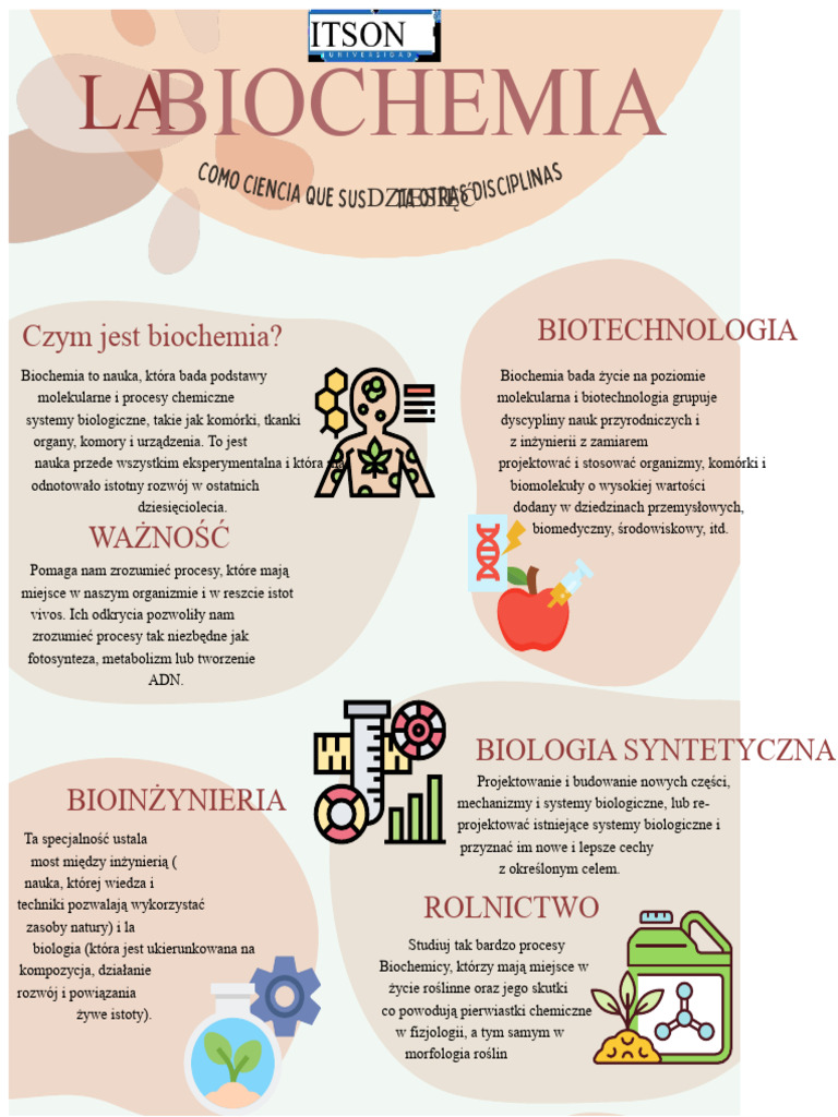 Infografika 1 Biochemia | PDF