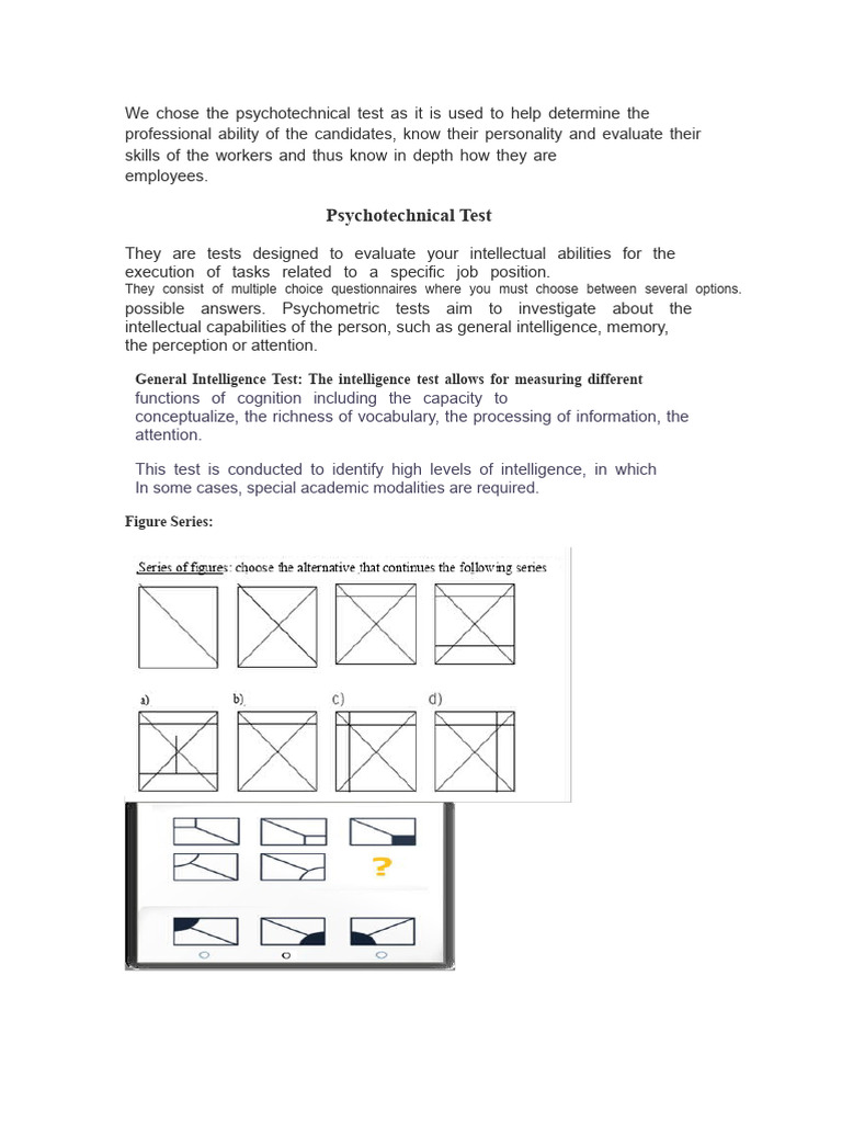 Psychotechnical Test Project | PDF