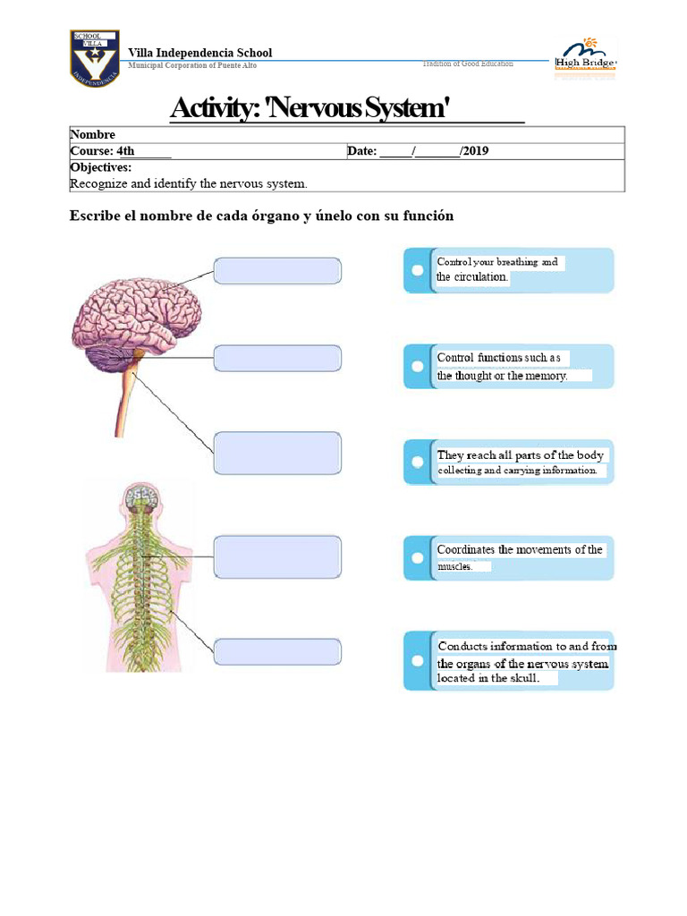 Act Nervous System | PDF