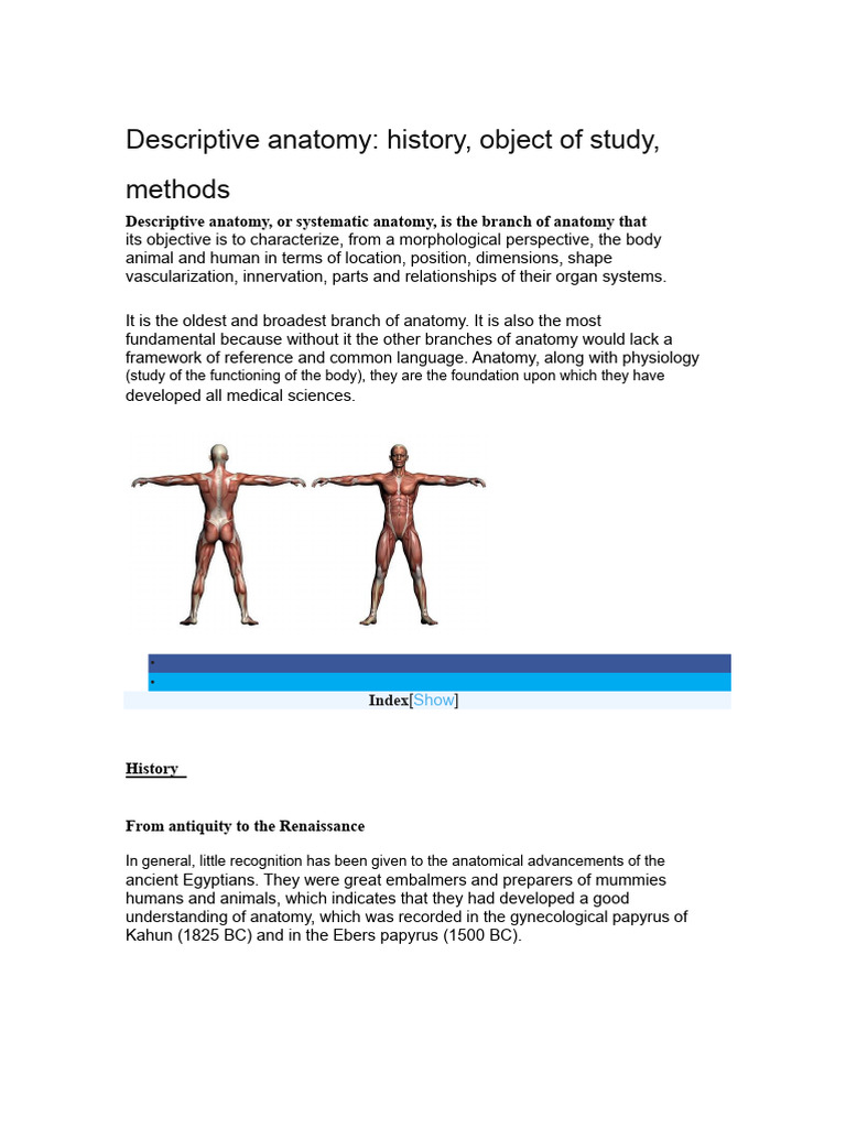 Anatomy: Descriptive Terms Overview | PDF | Anatomical Terms Of ...