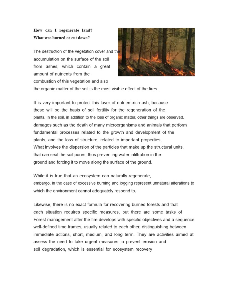 Regenerating Burned Land: Key Steps | PDF | Soil | Mulch