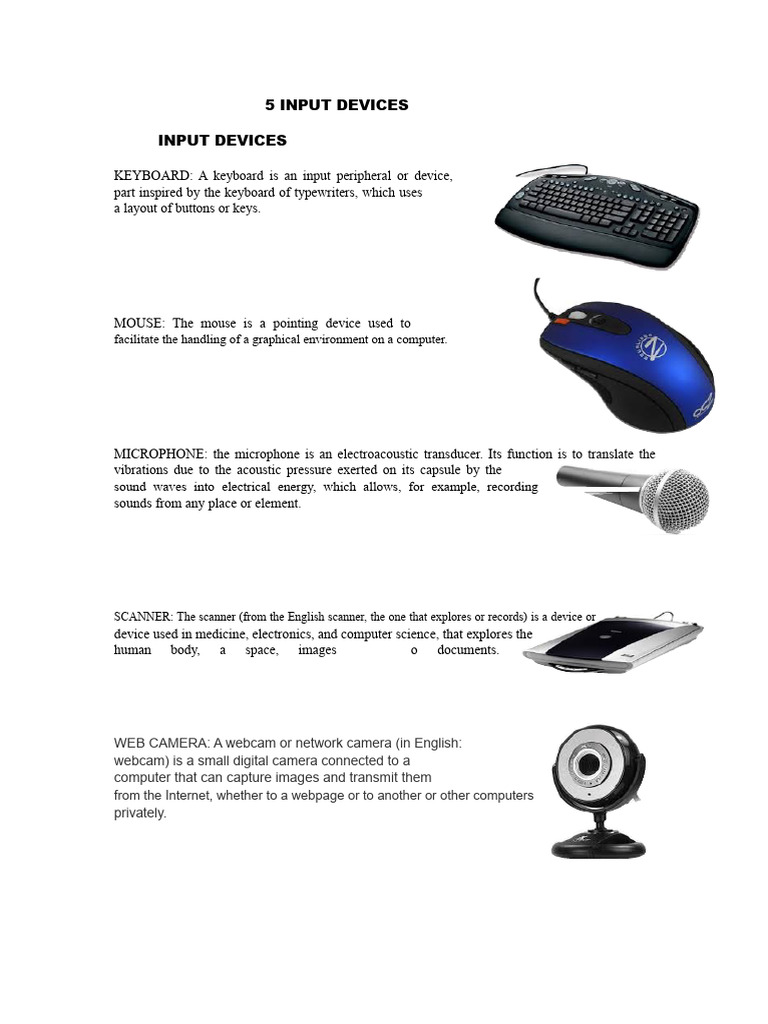 5 Input Devices 5 Output Device | PDF