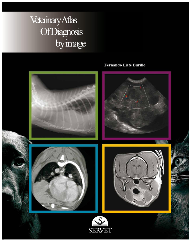 Veterinary Atlas of Diagnostic Imaging | PDF | Medical Imaging | Radiology