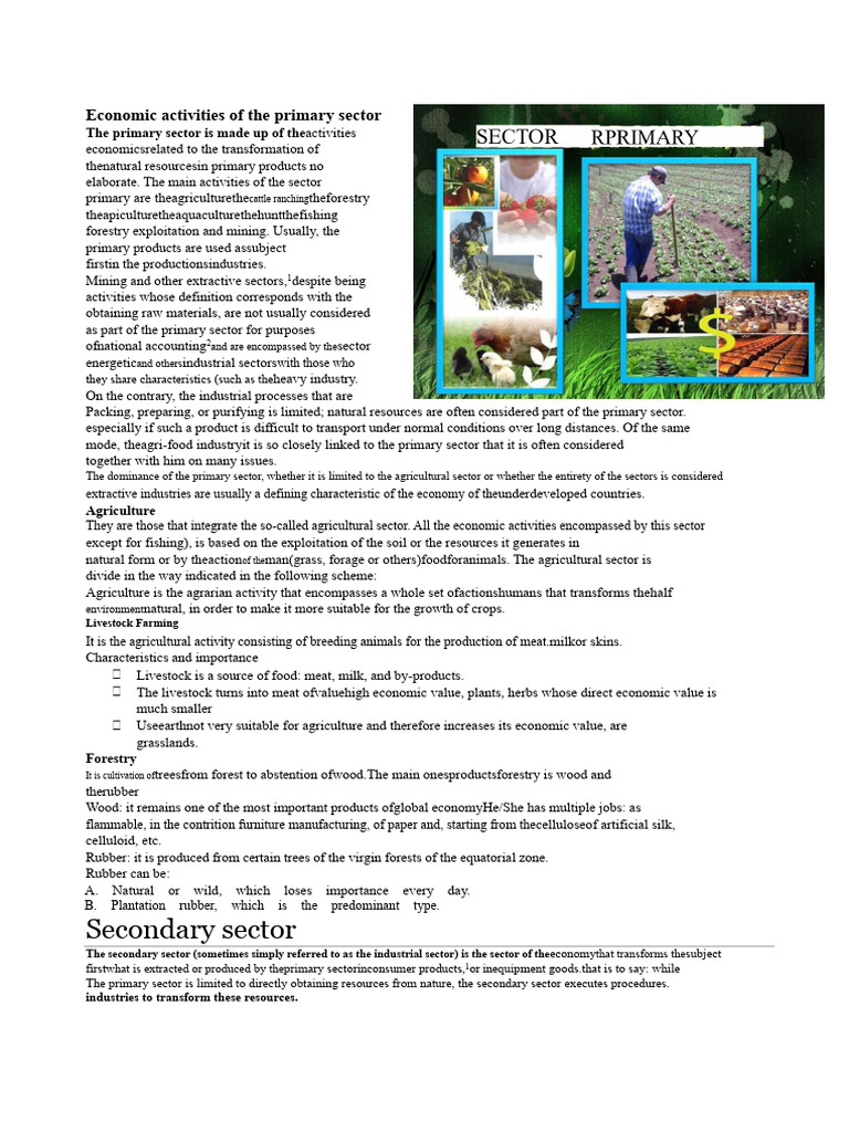 Overview of Primary Economic Sectors | PDF | Agriculture | Mining
