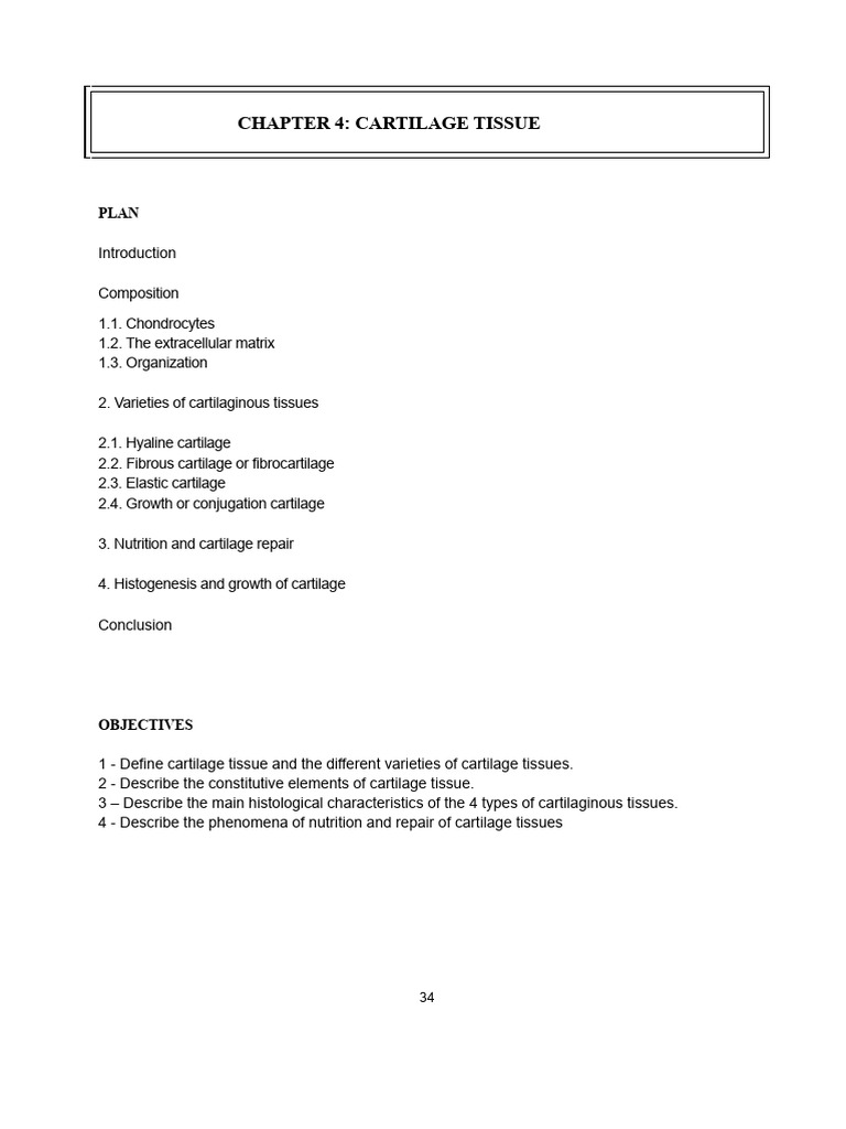 Chapter 4 - Cartilaginous Tissue | PDF | Cartilage | Extracellular Matrix