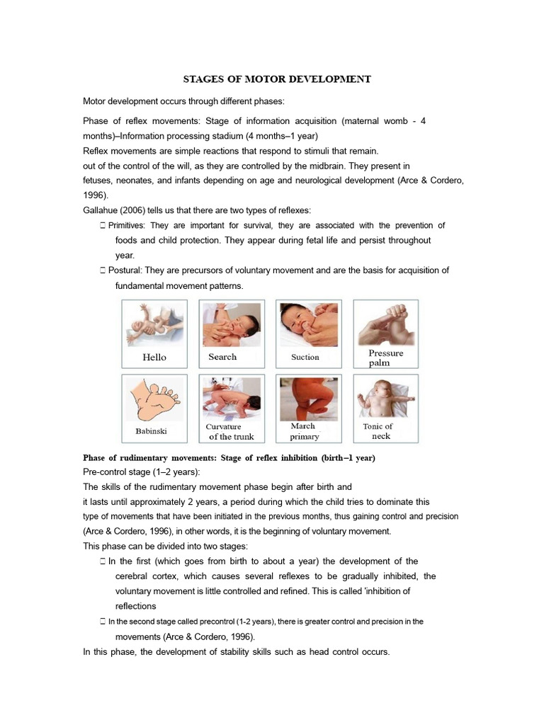 Phases of Motor Development | PDF | Fetus | Cognitive Psychology