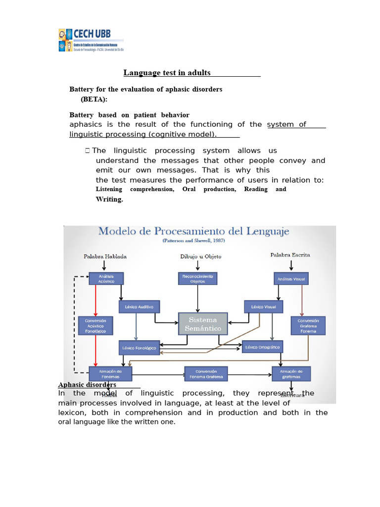 Language Test in Adults | PDF | Aphasia | Speech