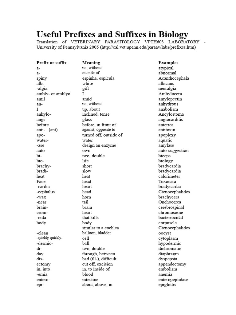 Prefixes and Suffixes | PDF | Anatomy | Medical Specialties
