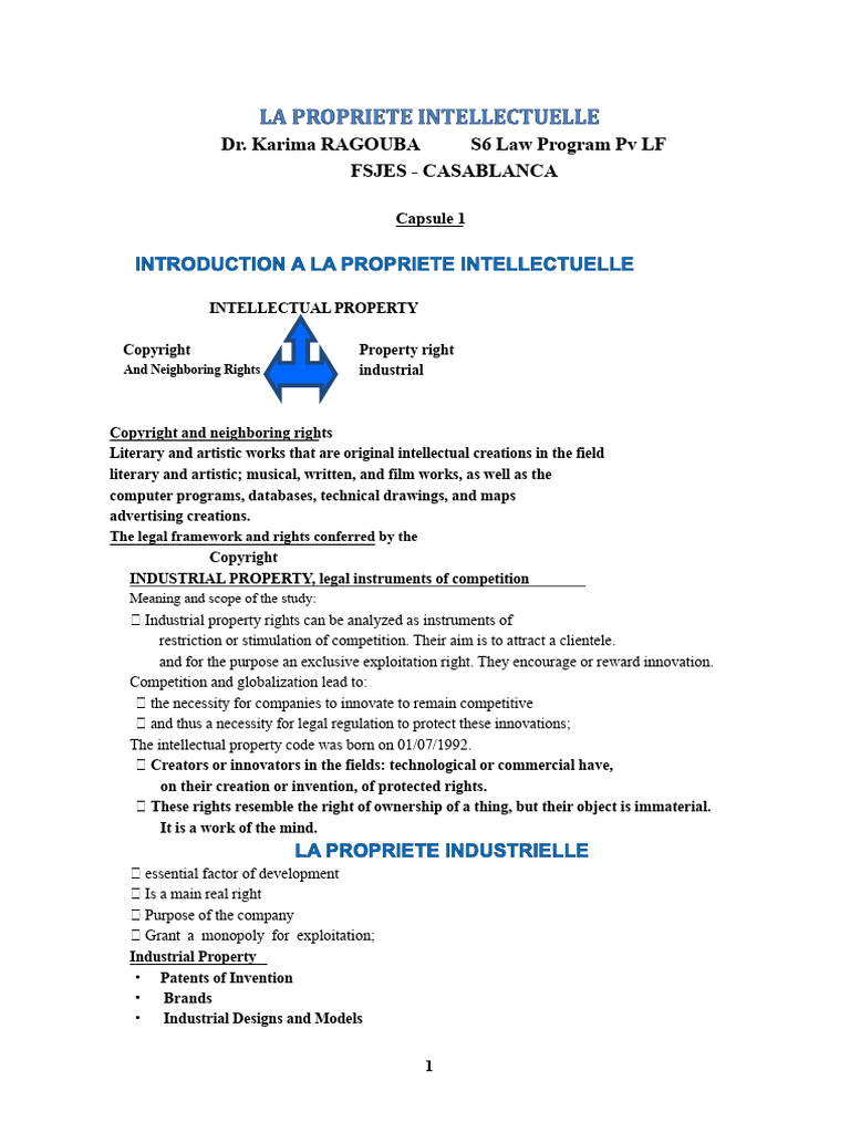 Complete Course - INTELLECTUAL PROPERTY LAW - RAGOUBA - S6 - 2022 | PDF ...