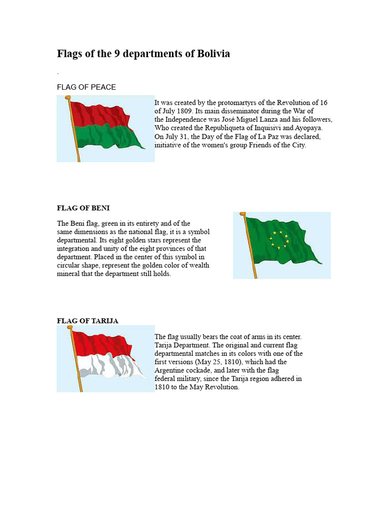 Bolivia's Department Flags Explained | PDF | Bolivia | Flag