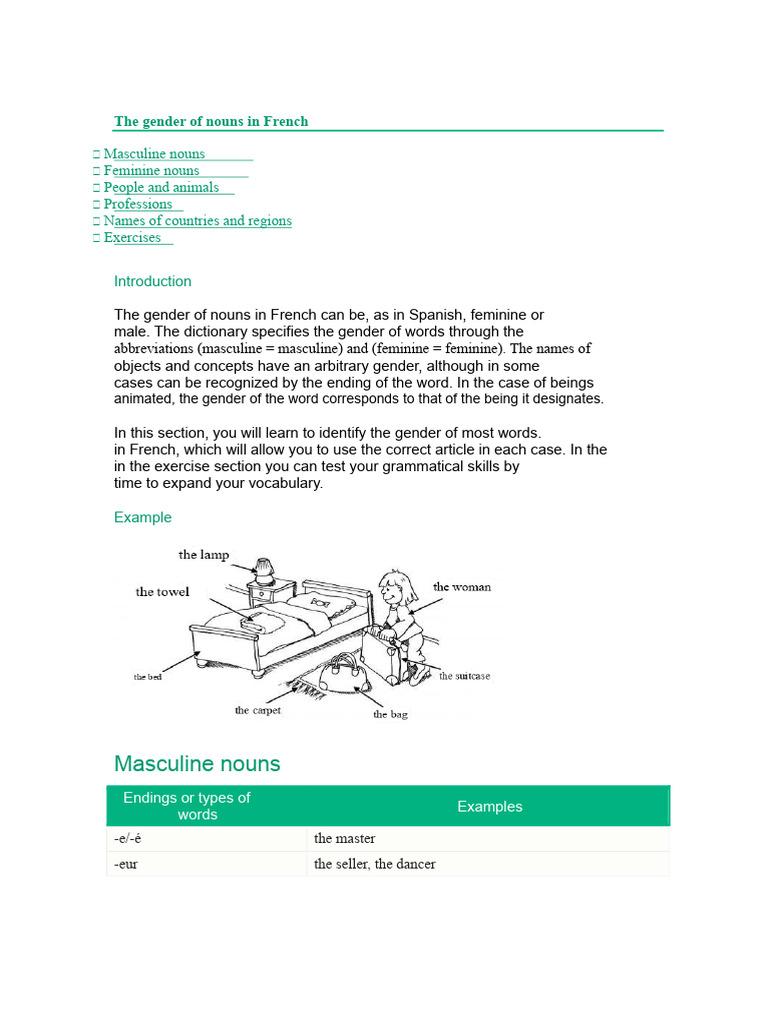 The Gender of Nouns in French | PDF | Grammatical Gender | Verb