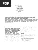 Panduan Lengkap Anatomi Ayam | PDF