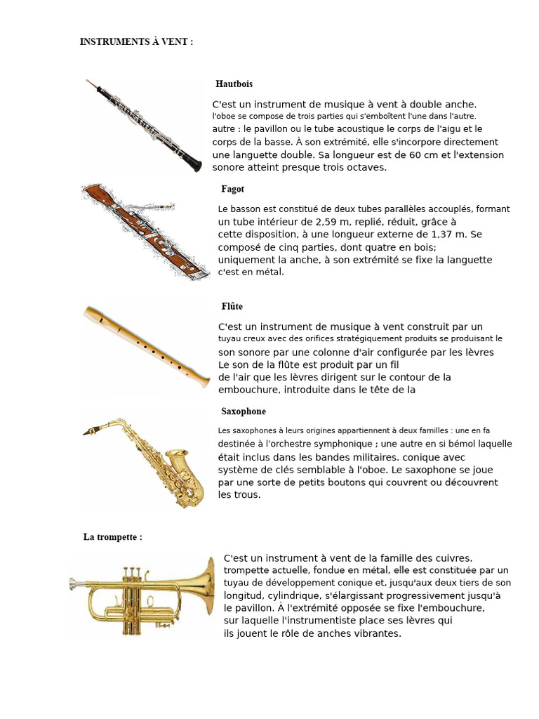 Instruments À Vent | PDF | Contrebasse | Instruments à corde