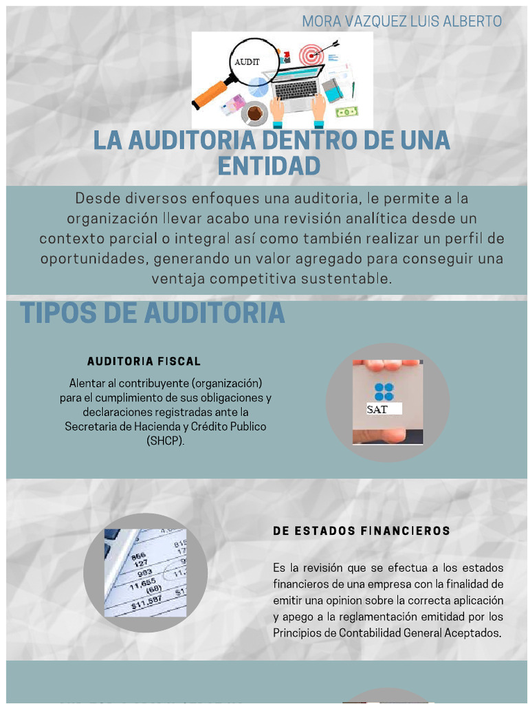 Types of Audits Infographics | PDF