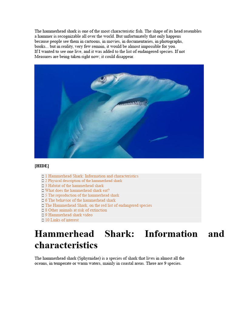 The Hammerhead Shark One of The Most Characteristic Fish | PDF | Sharks ...