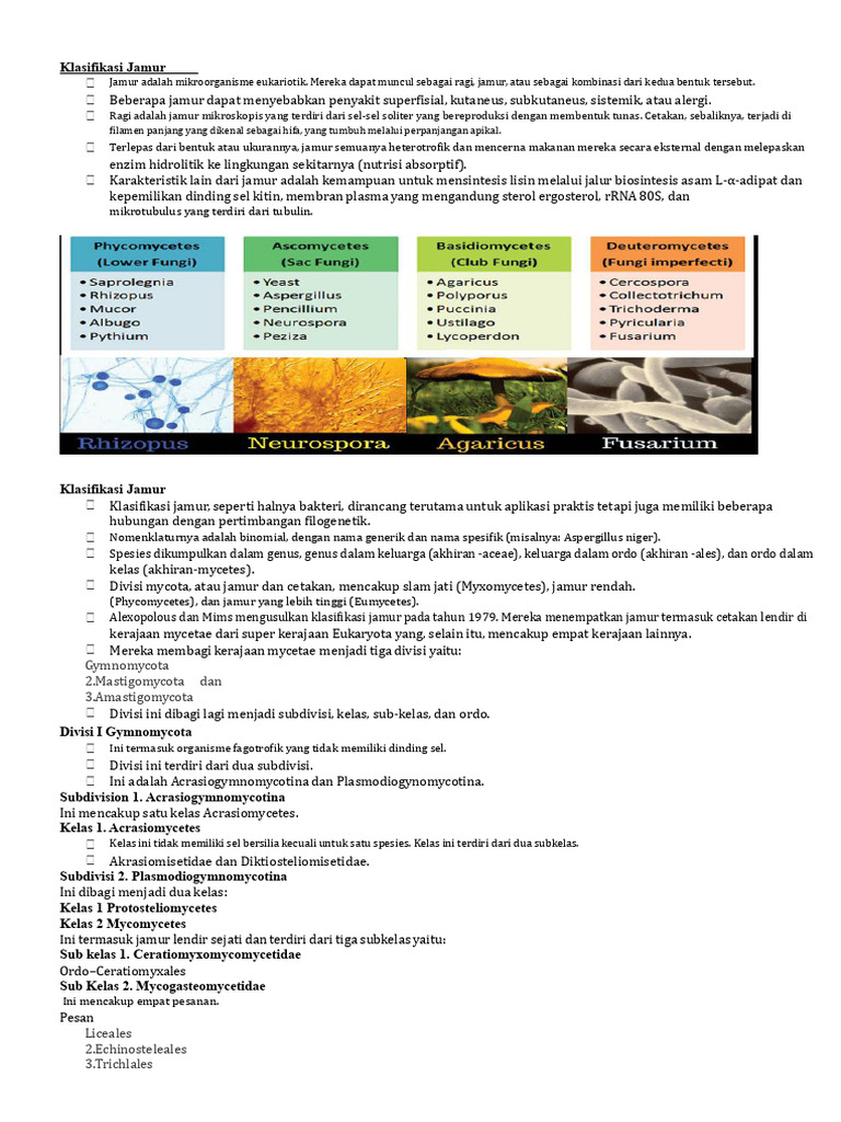 Klasifikasi dan Jenis Jamur Eukariotik | PDF