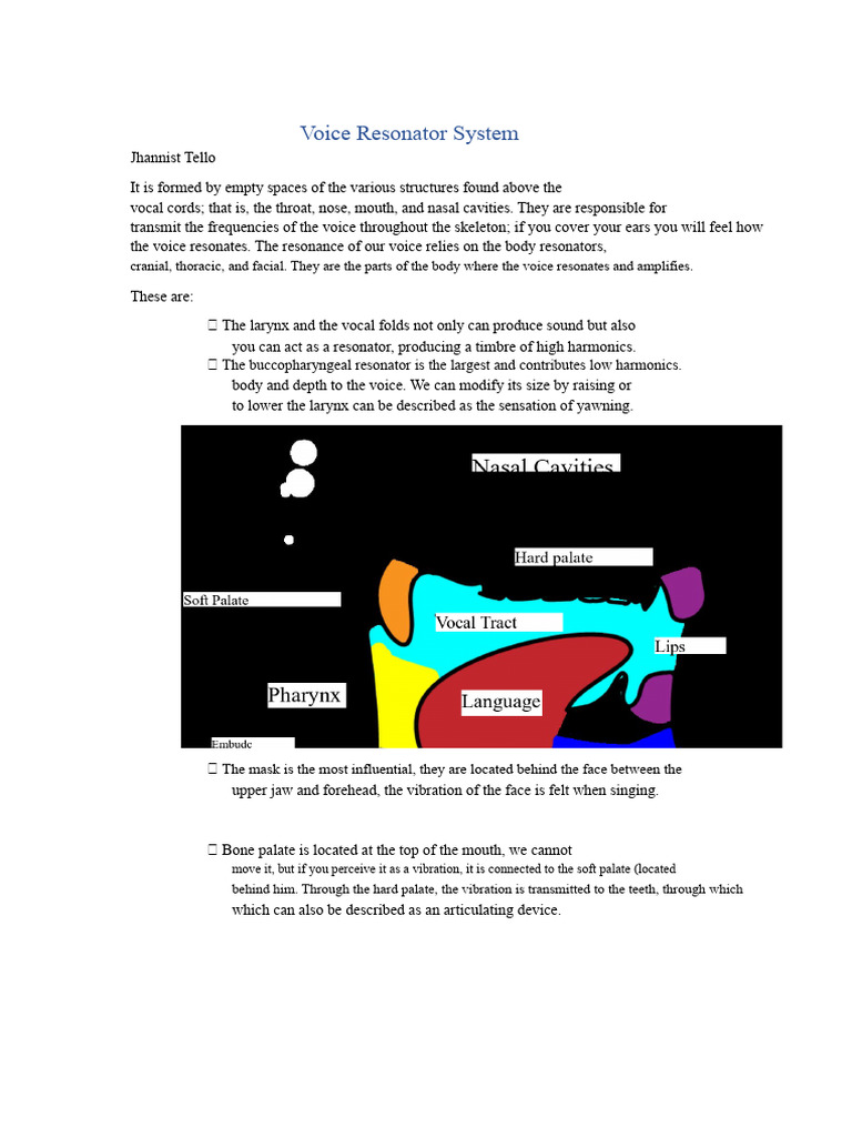 Understanding the Voice Resonator System | PDF | Human Voice | Human Nose