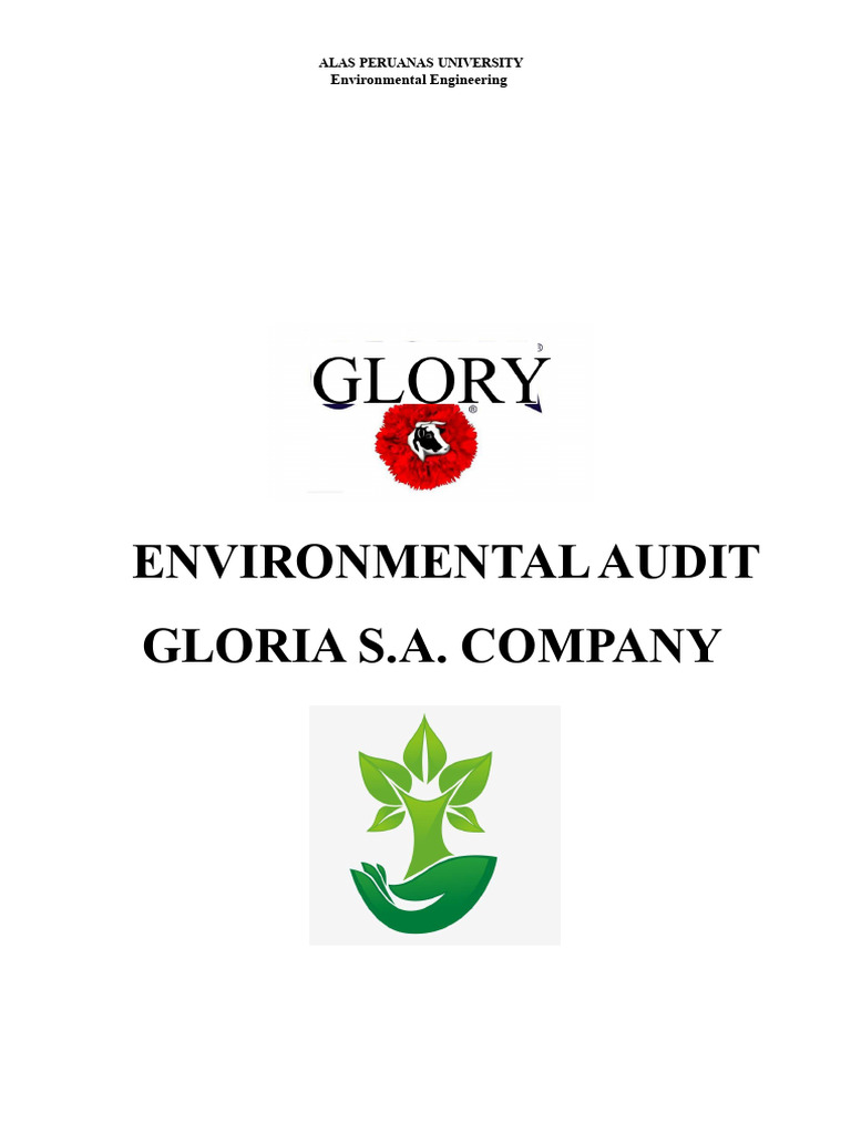 Environmental Audit Company Gloria S | PDF | Audit | Environmental ...