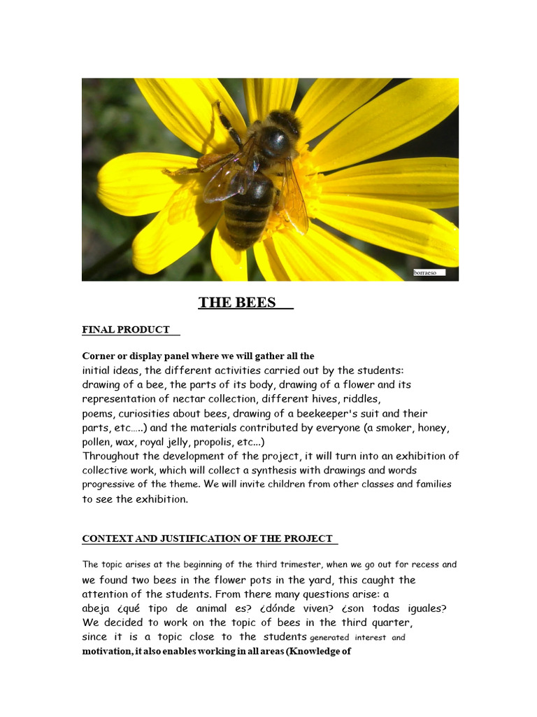 Final Project The Bees | PDF | Beekeeper | Bees