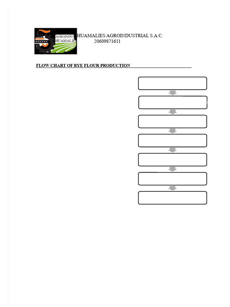 Rye Flour Production Flow Chart | PDF | Flour | Warehouse