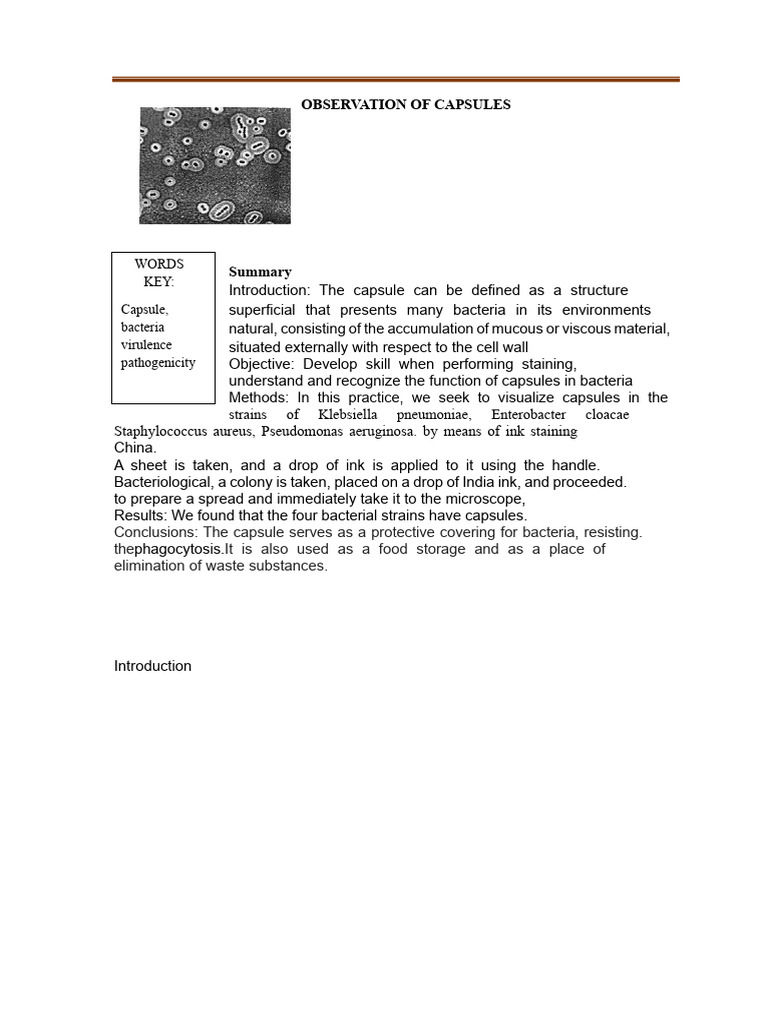 Report Capsules #5 | PDF | Bacteria | Staining